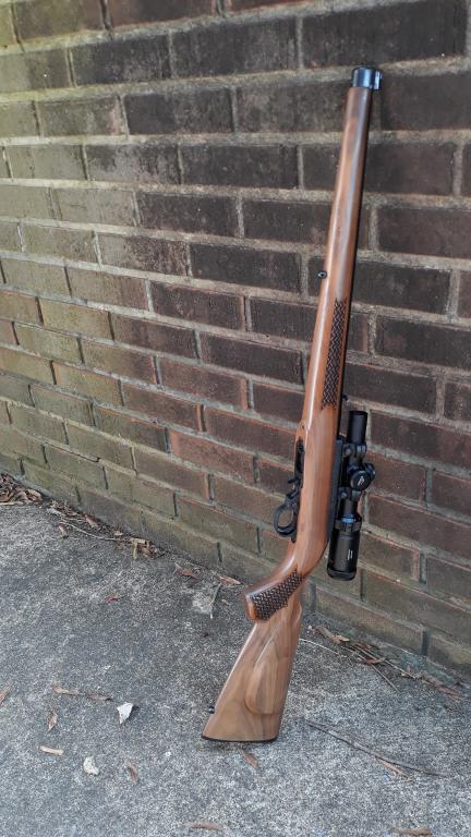 Ruger 10 22 Mannlicher Stock
